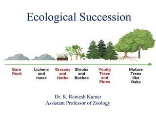 Ecological Succession-Process, types, patterns & Significance.pptx