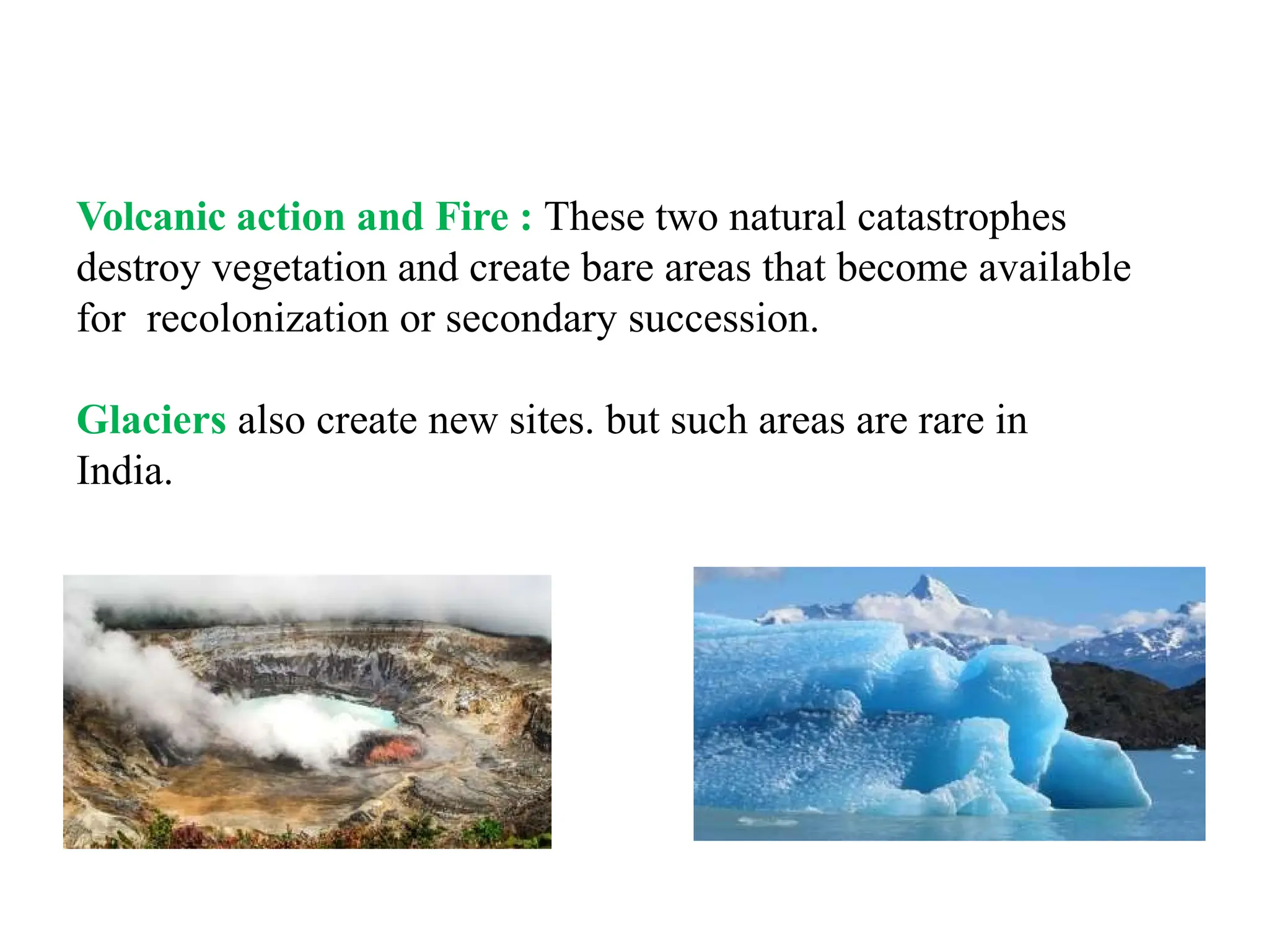 Ecological Succession and its types and details | PPTX