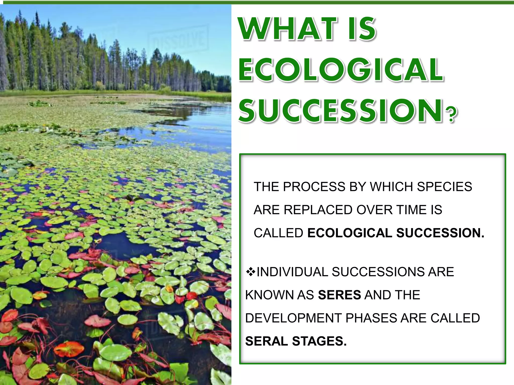 Biology Ecological succession post01 | PPTX