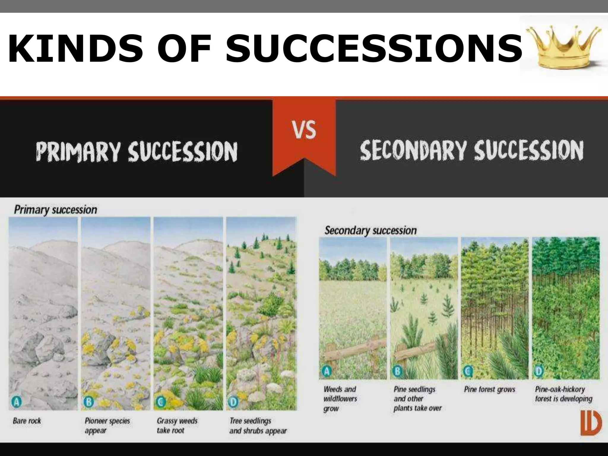 Biology Ecological succession post01 | PPTX