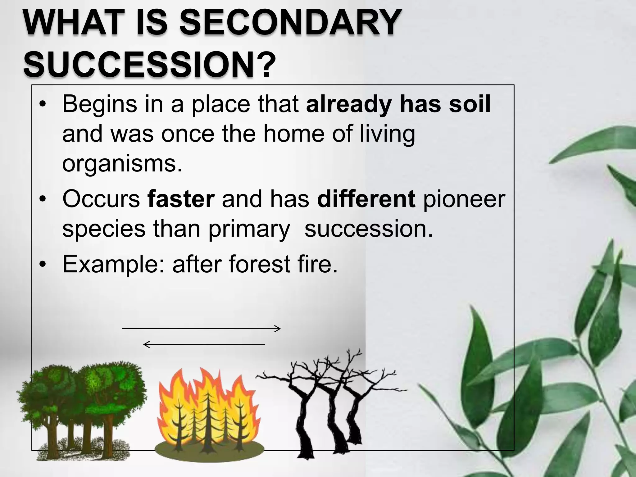 Biology Ecological succession post01 | PPTX