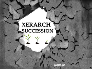 Biology Ecological succession post01 | PPTX