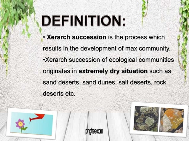Biology Ecological succession post01 | PPT