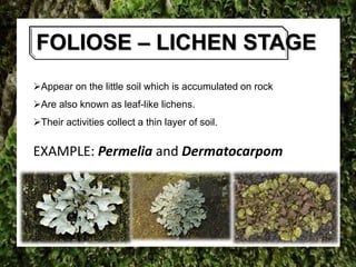 Biology Ecological succession post01 | PPTX