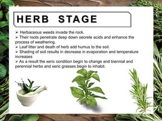 Biology Ecological succession post01 | PPTX