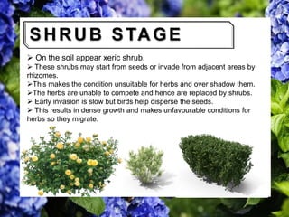 Biology Ecological succession post01 | PPTX
