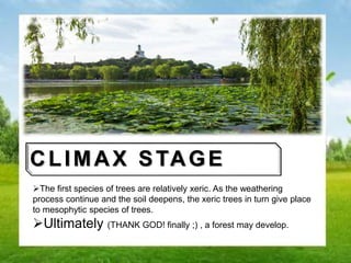 Biology Ecological succession post01 | PPTX