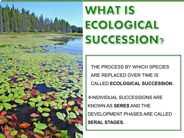 Biology Ecological succession post01 | PPT
