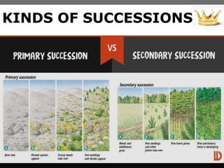 Biology Ecological succession post01 | PPTX