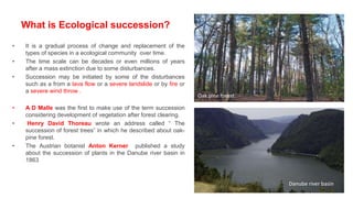 ECOLOGICAL SUCCESSION (2).pptx