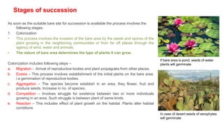 ECOLOGICAL SUCCESSION (2).pptx