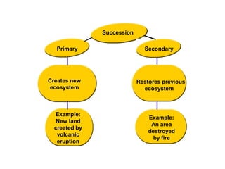 Ecological succession4 | PPT