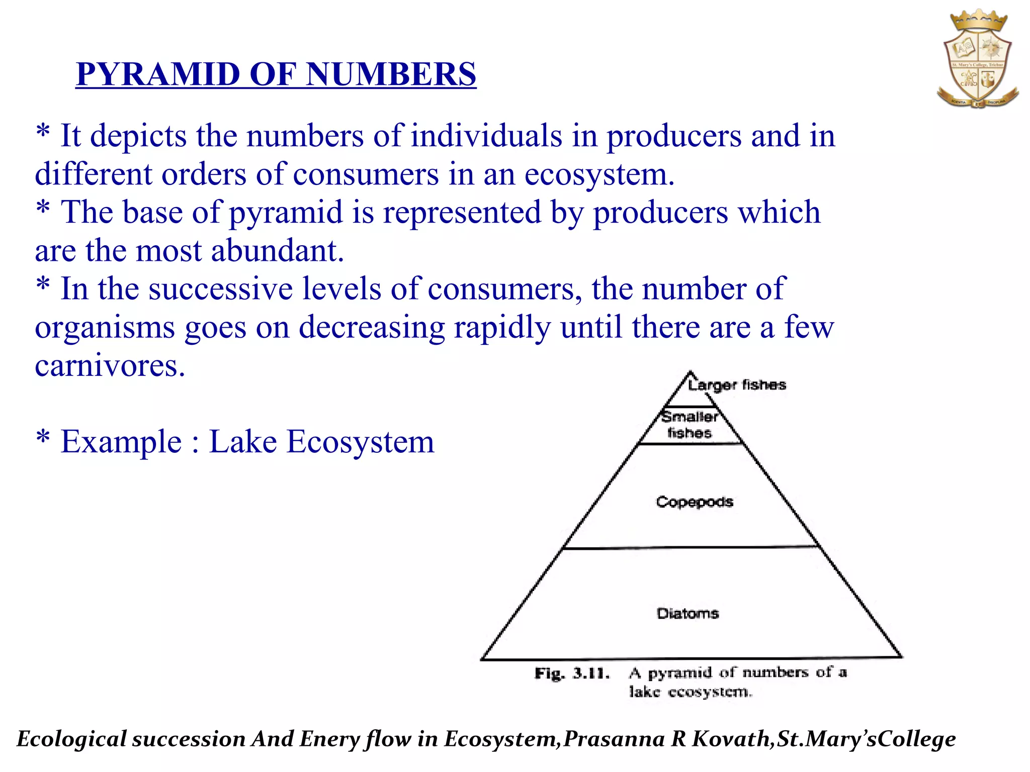 Ecological succession and Energy flow in Ecosystem | PDF