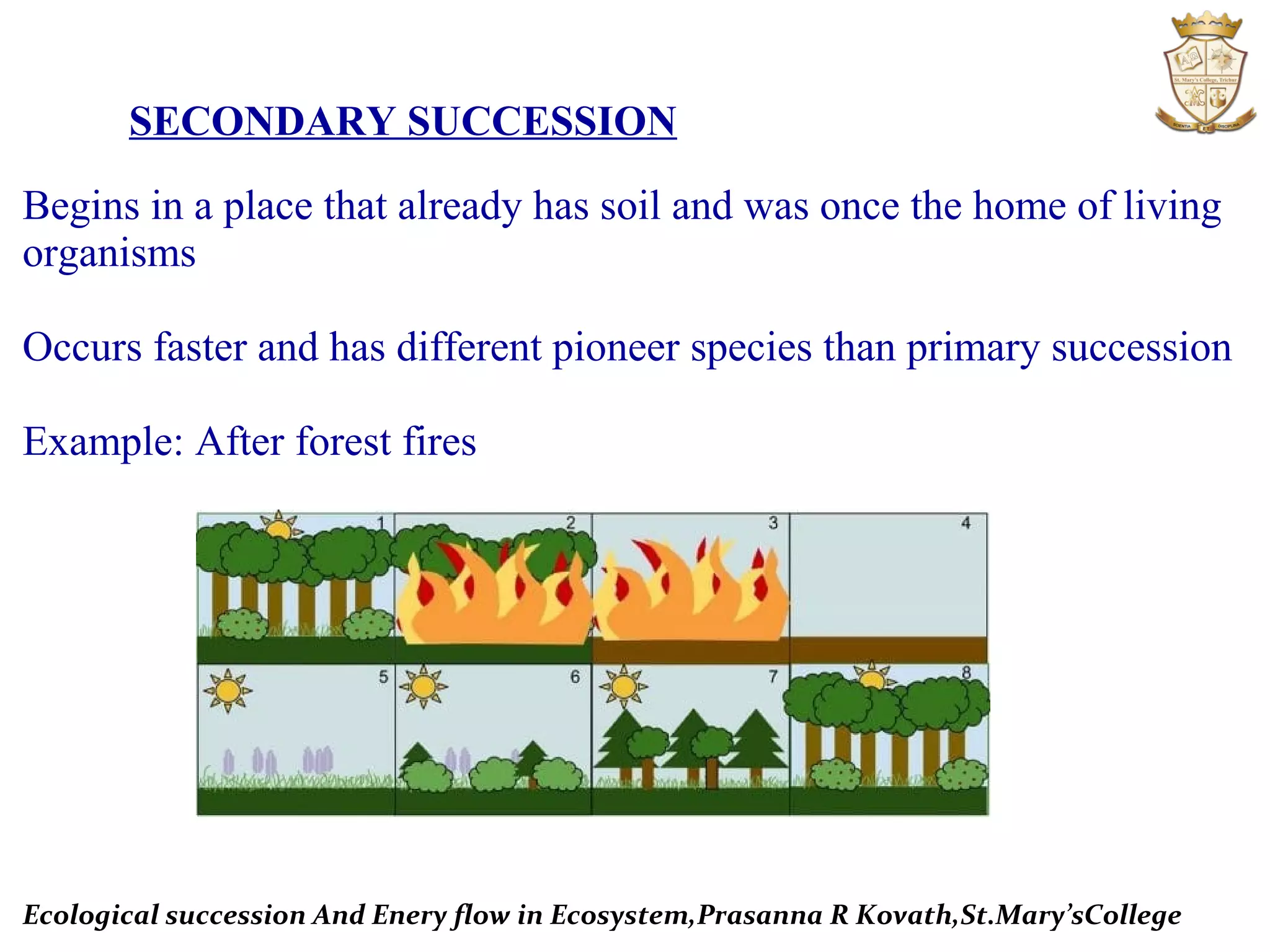 Ecological succession and Energy flow in Ecosystem | PDF