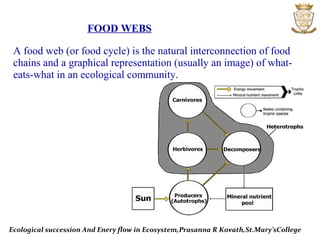 Ecological succession and Energy flow in Ecosystem | PDF