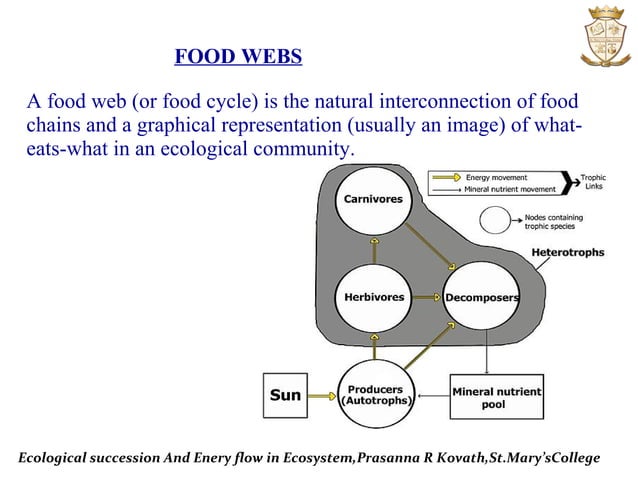 Ecological succession and Energy flow in Ecosystem | PDF