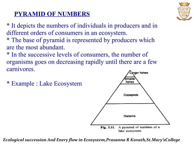 Ecological succession and Energy flow in Ecosystem | PDF