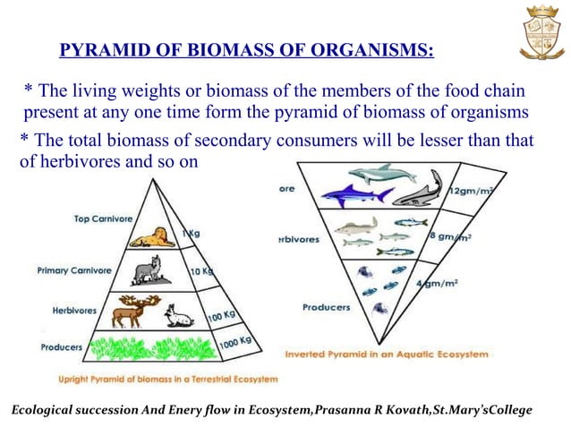 Ecological succession and Energy flow in Ecosystem | PDF