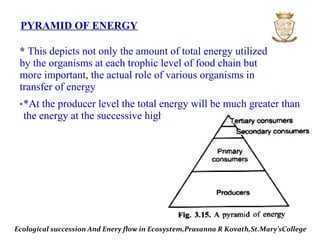 Ecological succession and Energy flow in Ecosystem | PDF
