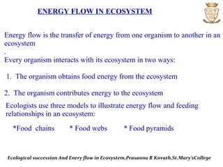 Ecological succession and Energy flow in Ecosystem | PDF