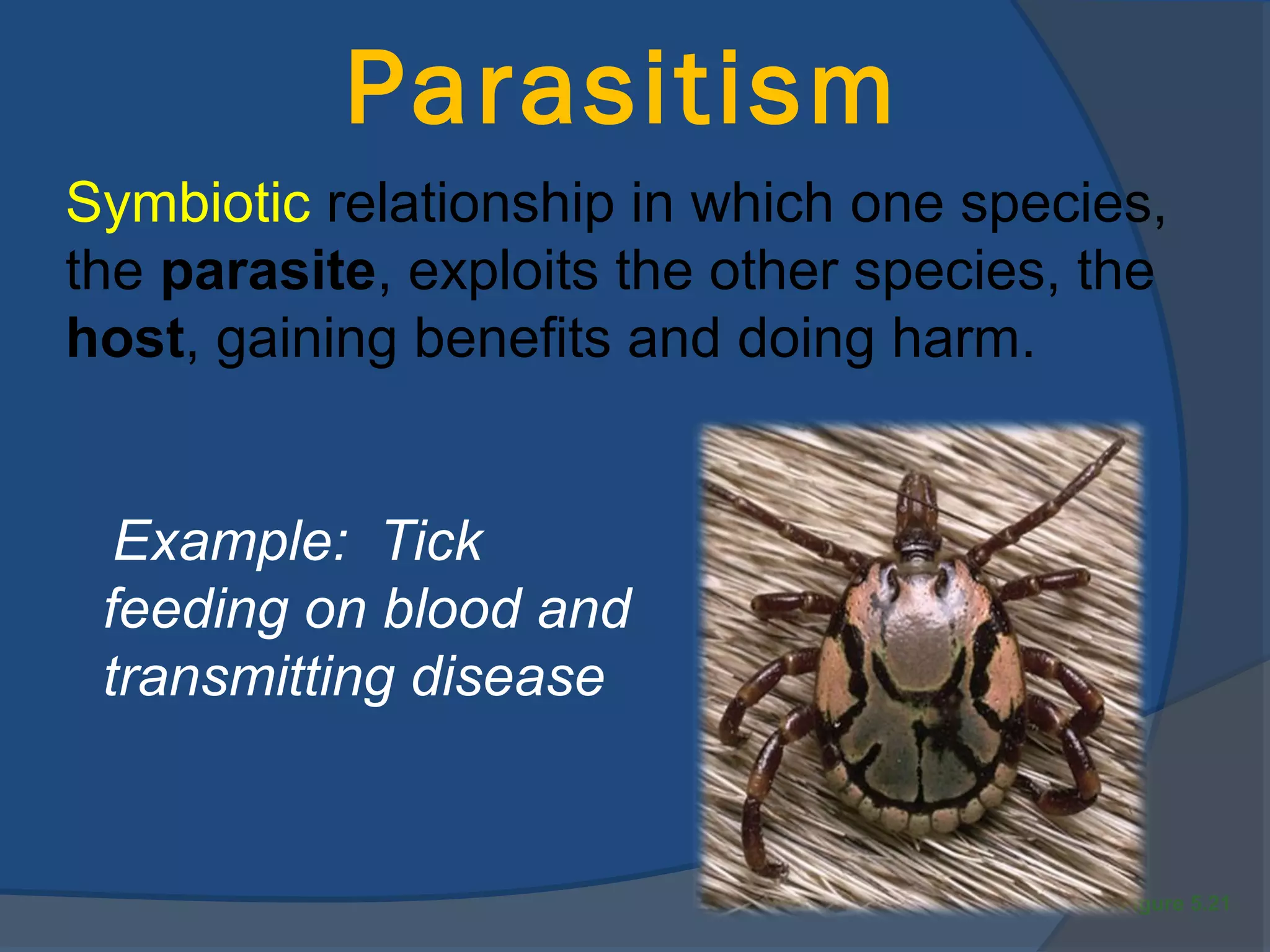 Ecological Succession and Community Interactions | PPT