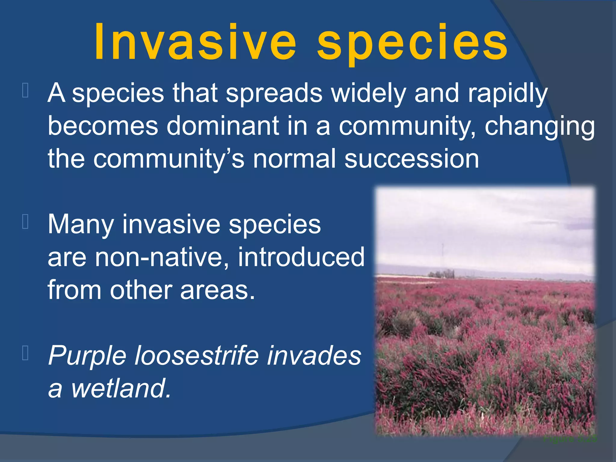 Ecological Succession and Community Interactions | PPT