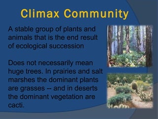 Ecological Succession and Community Interactions | PPT