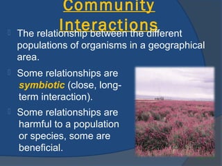 Ecological Succession and Community Interactions | PPT
