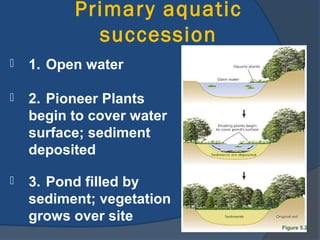 Aquatic Succession