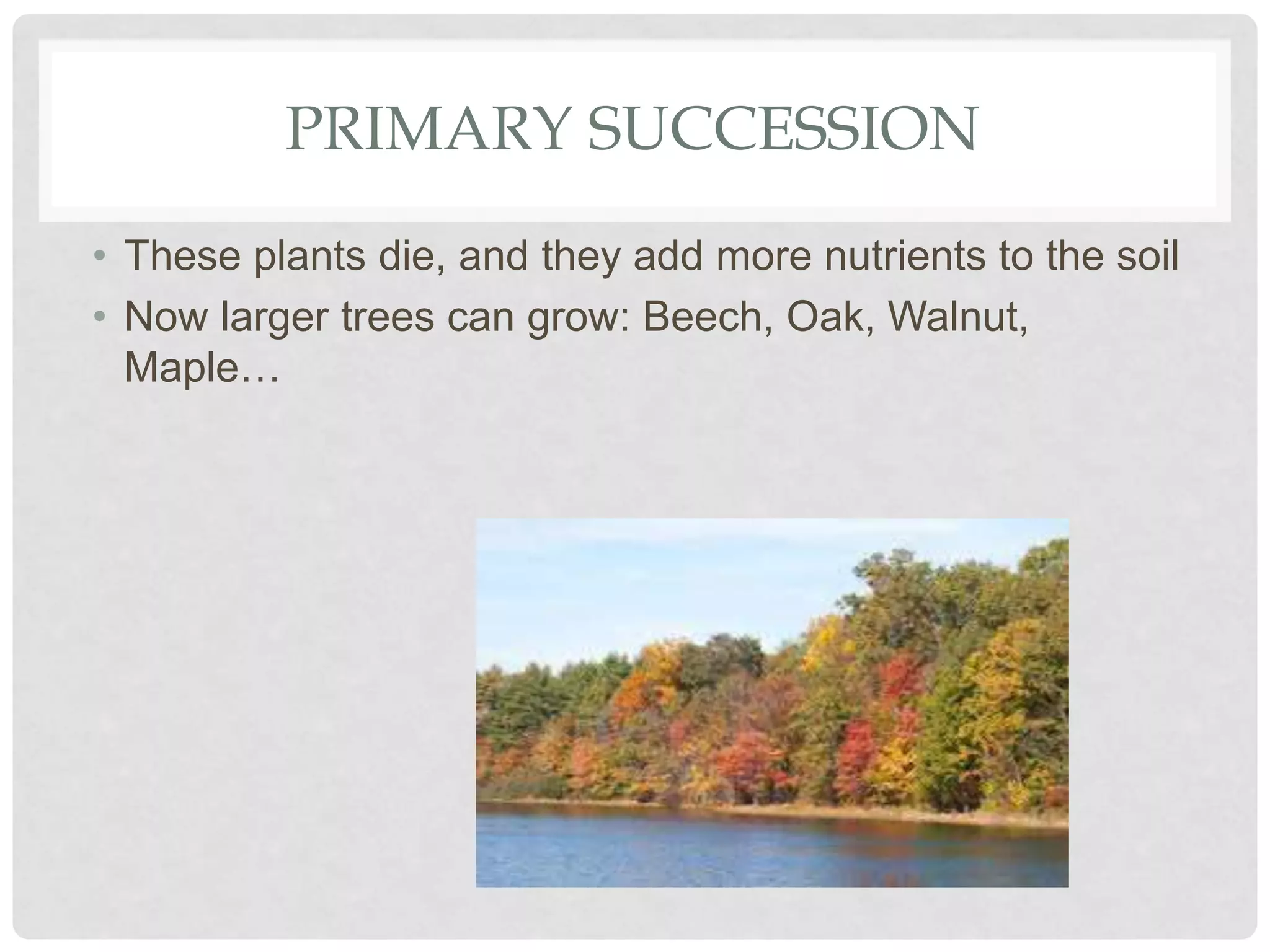 Ecological_Succession_course19-NFCIET.ppt