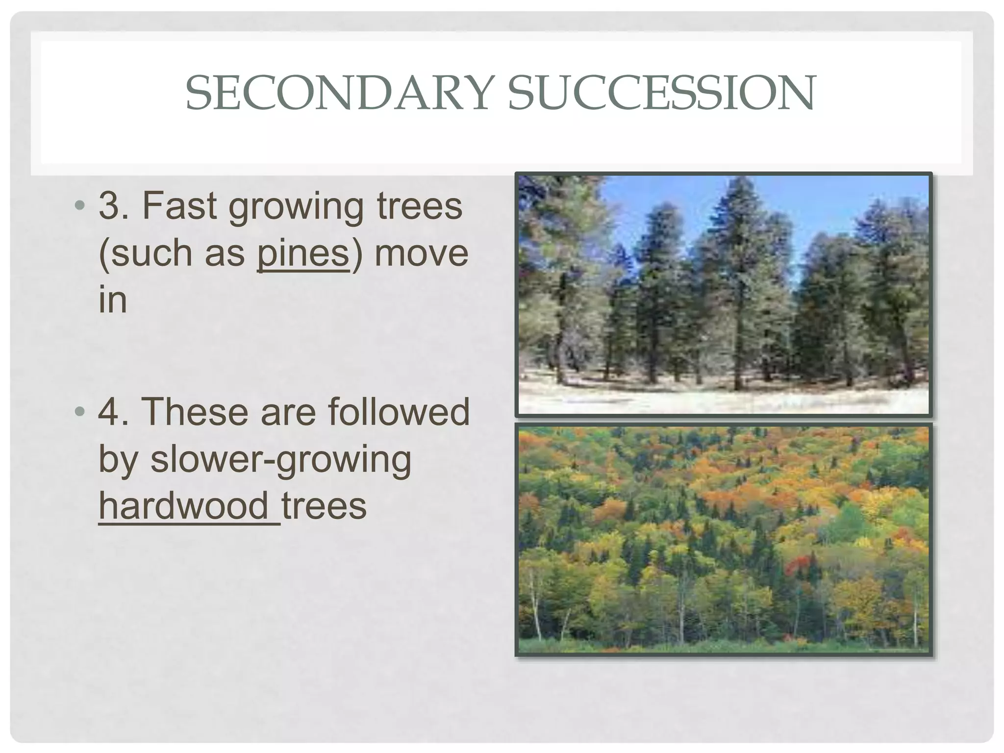 Ecological_Succession_course19-NFCIET.ppt