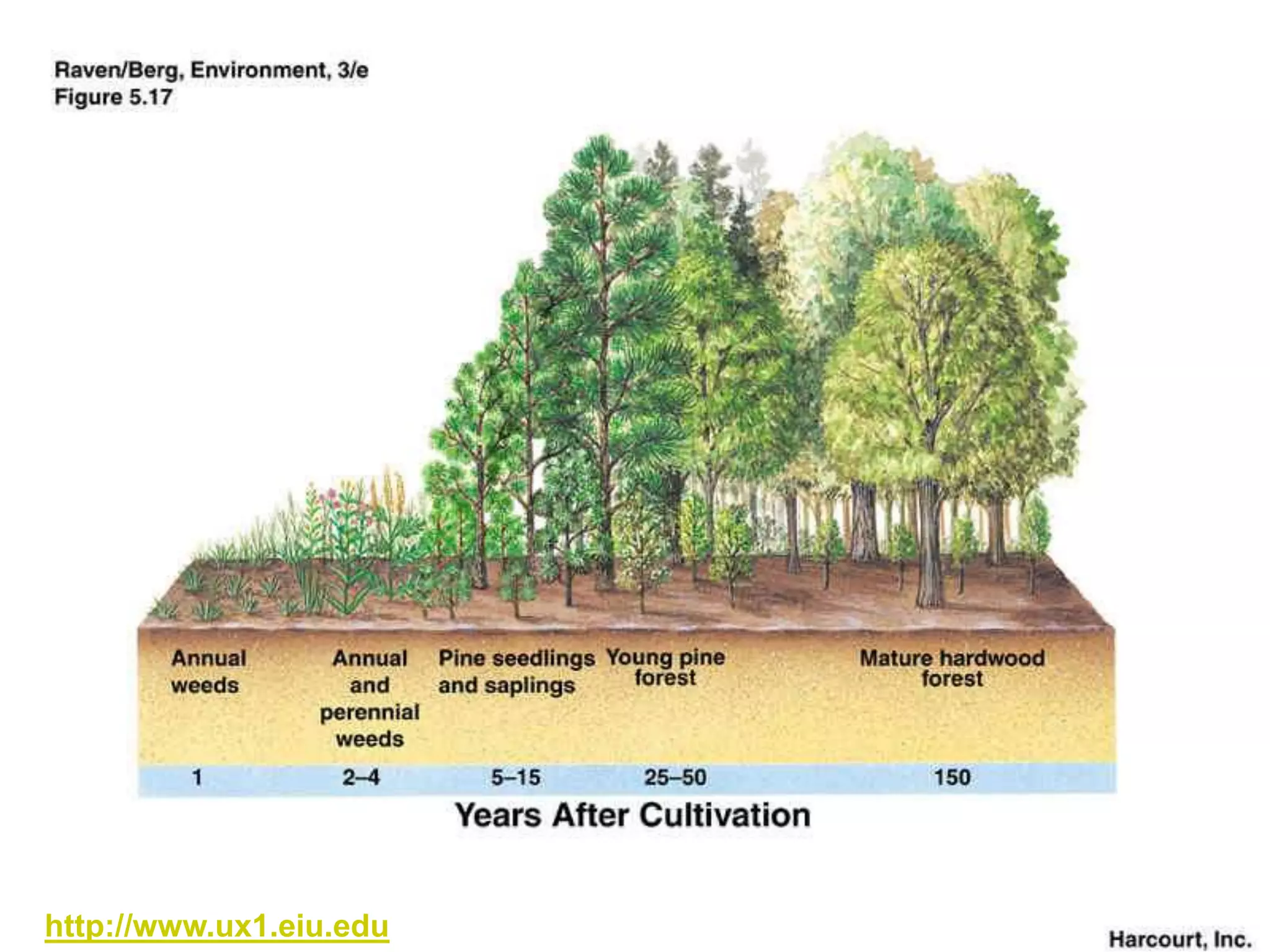 Ecological_Succession_course19-NFCIET.ppt