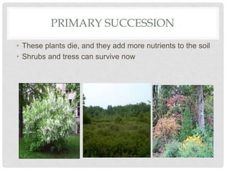 Ecological_Succession_course19-NFCIET.ppt