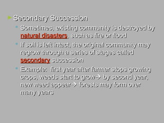 Ecological succession & cycles of matter | PPT