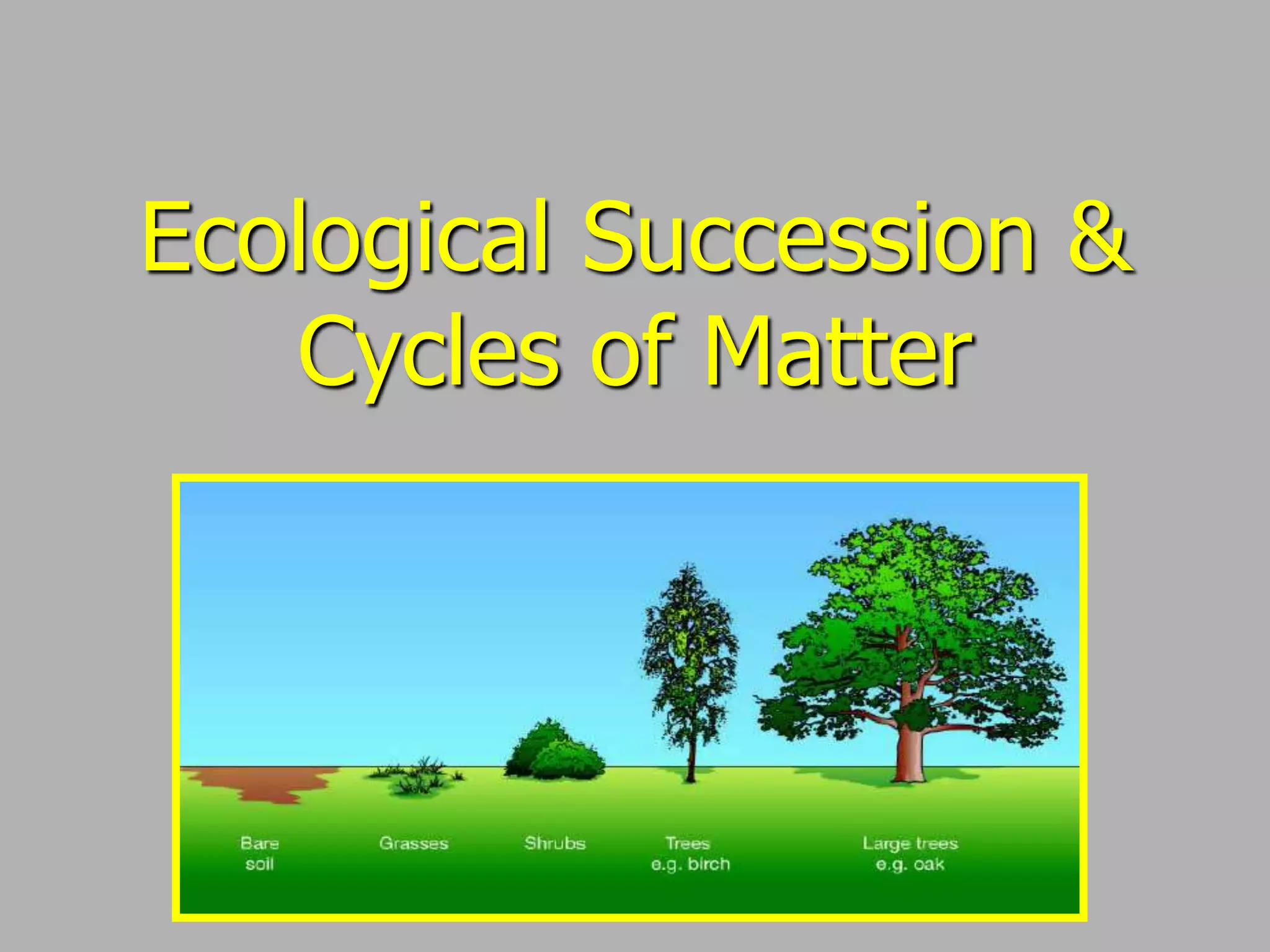 Ecological succession & cycles of matter | PPT