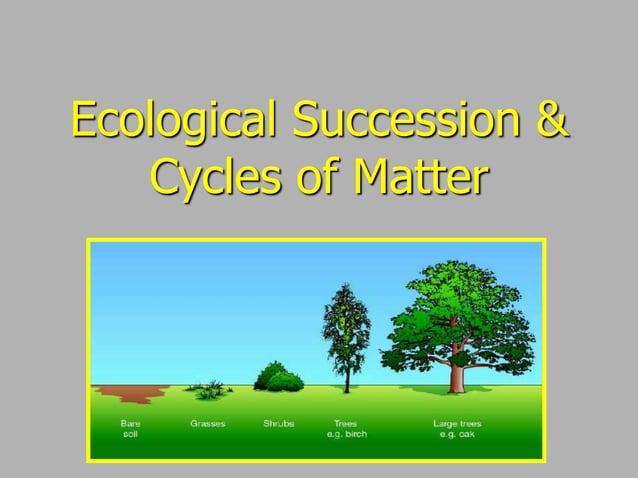 Ecological succession & cycles of matter | PPT