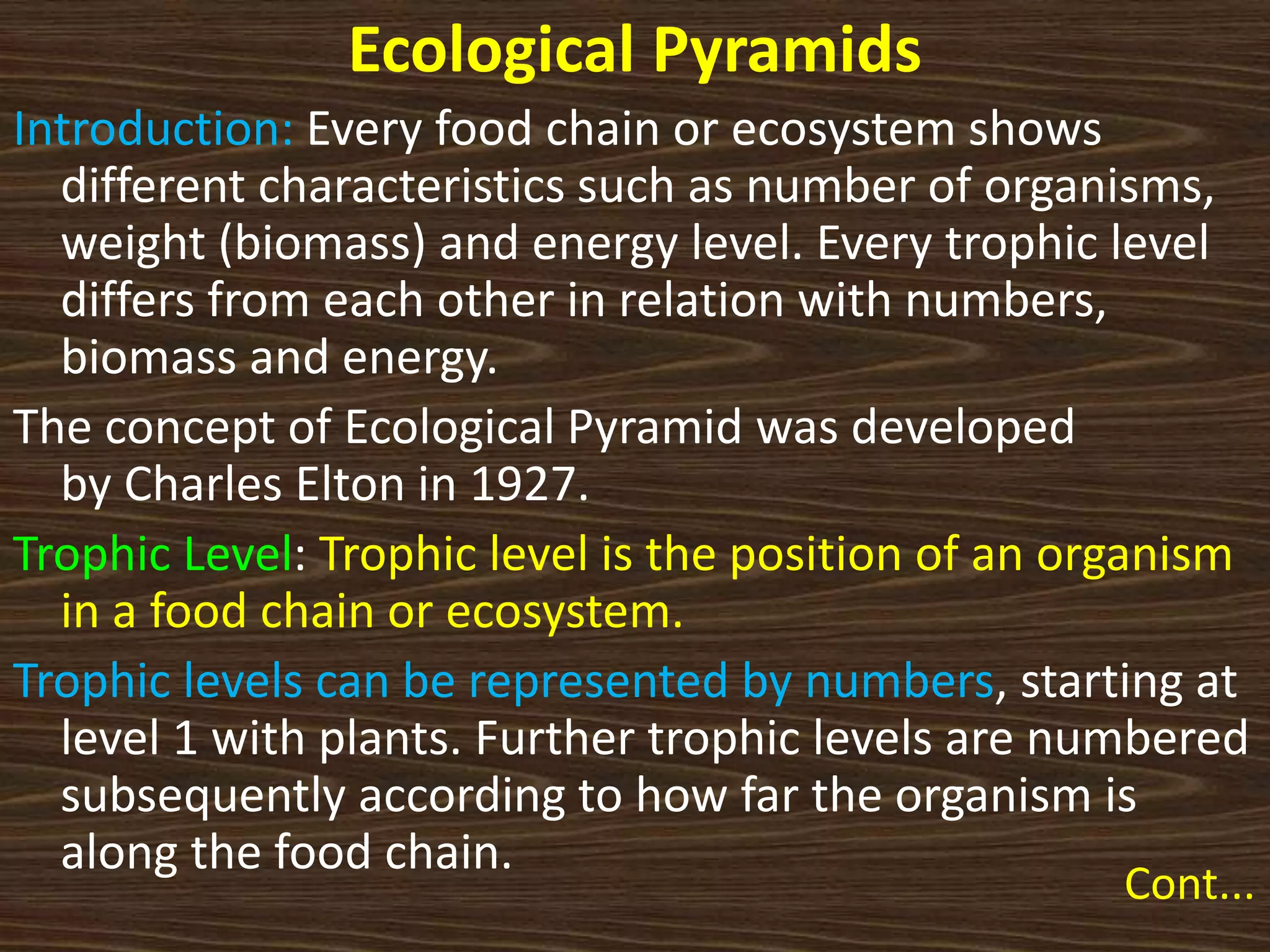 Ecological Succession & Ecological Pyramids | PPSX