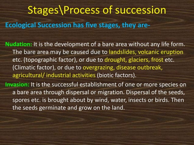 Ecological Succession & Ecological Pyramids | PPT