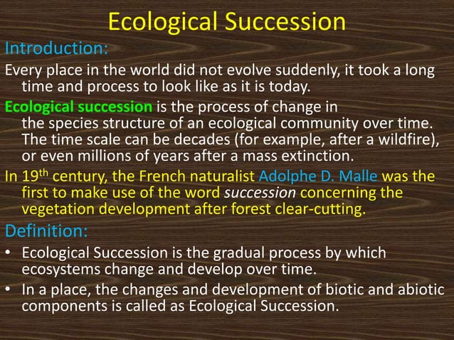 Ecological Succession & Ecological Pyramids | PPT