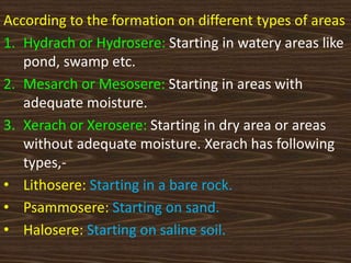 Ecological Succession & Ecological Pyramids | PPT