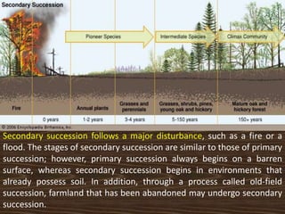 Secondary Succession Flood