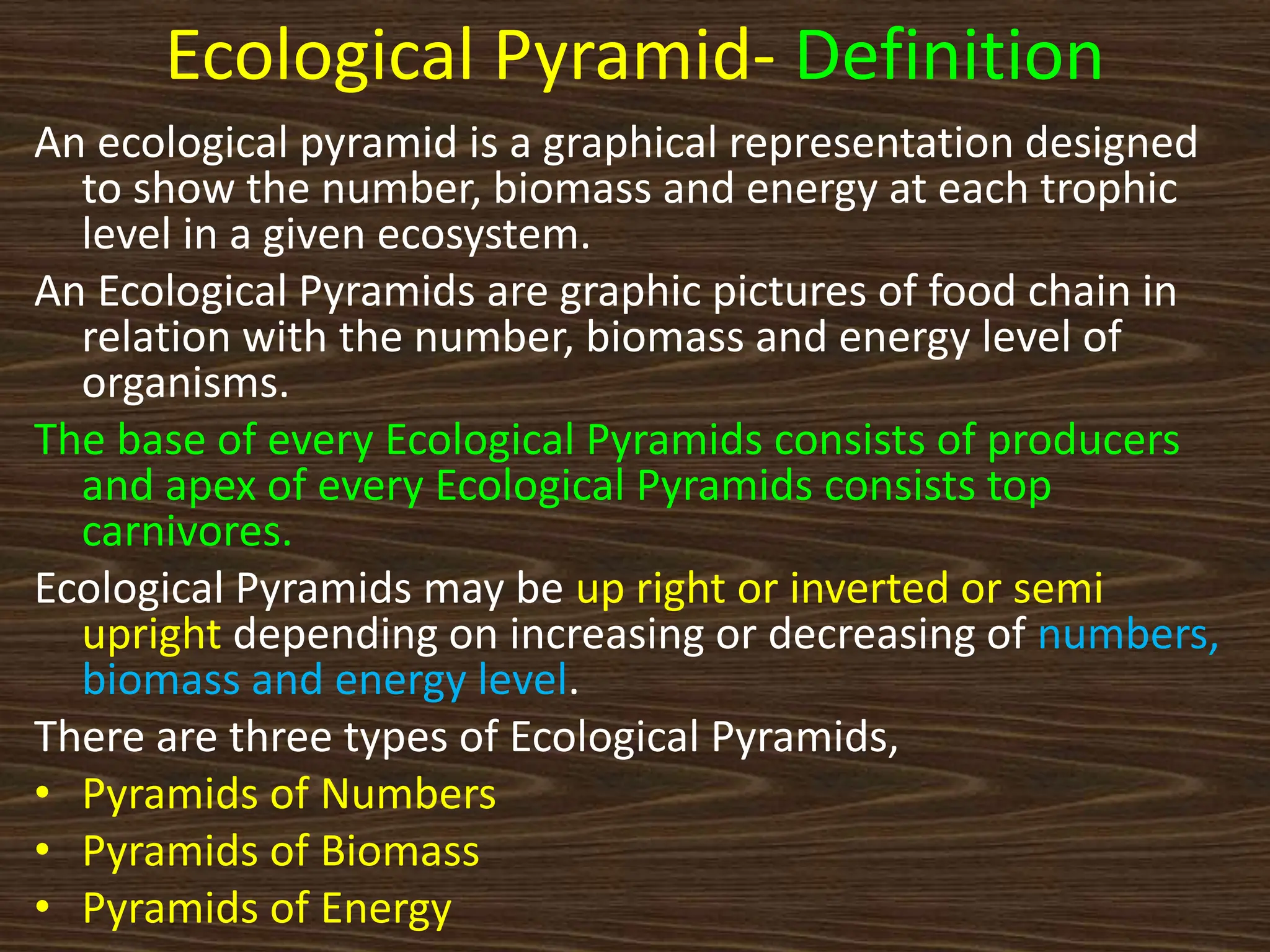 Ecological Succession & Ecological Pyramids.pptx