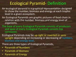 Ecological Succession & Ecological Pyramids.pptx