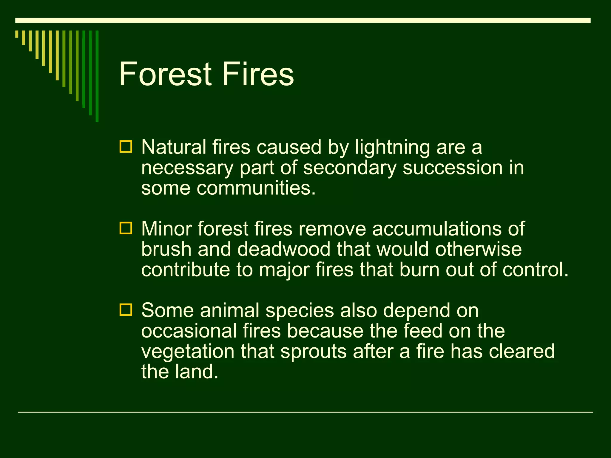 Ecological succession good | PPT