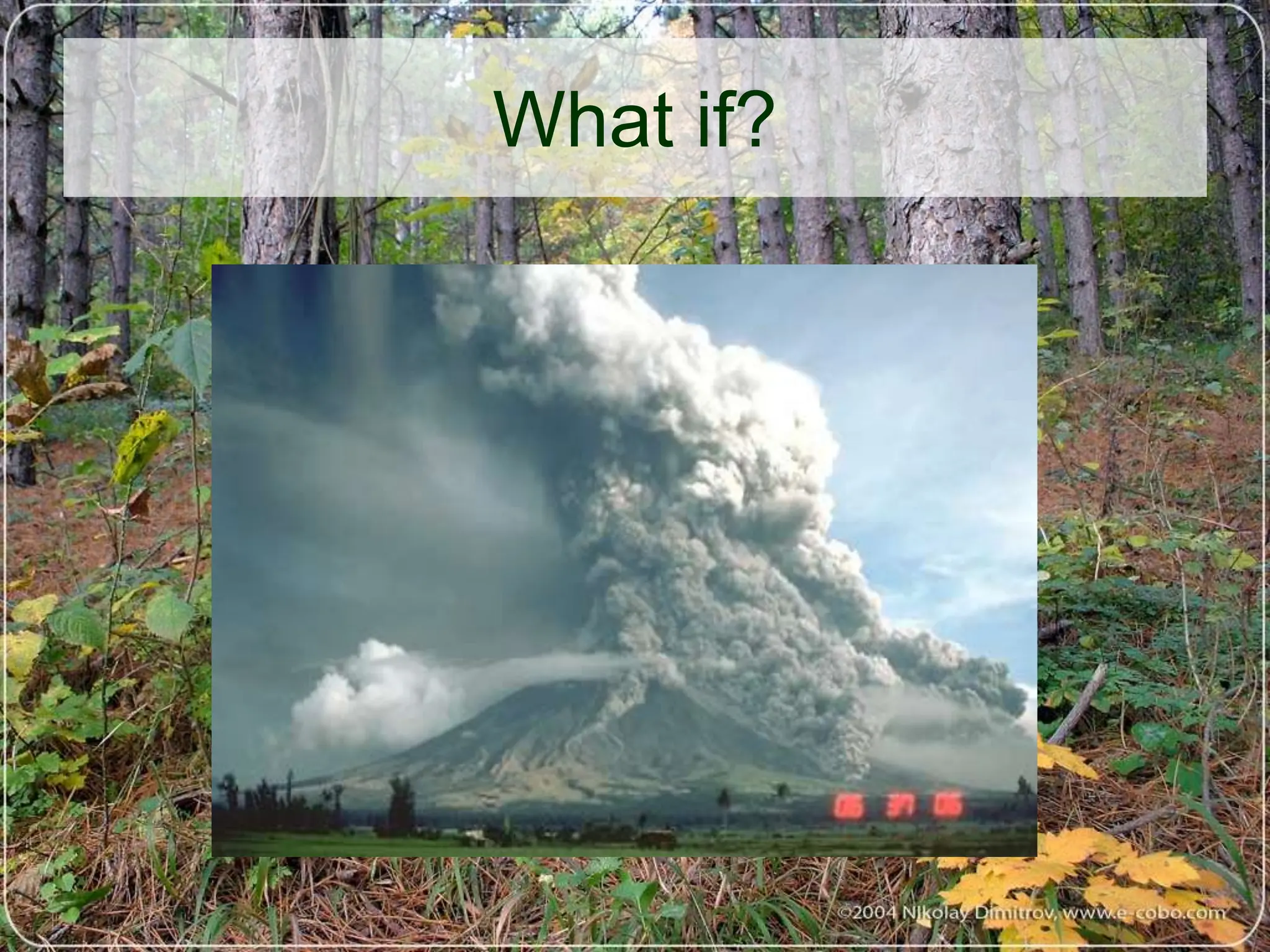 Ecological_Succession_PPT-2.ppt