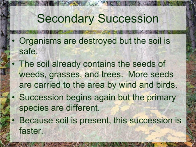 Ecological_Succession_PPT-2.ppt