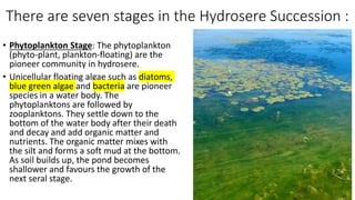 Ecological sucession,SUCESSION,HYDROXERE | PPTX