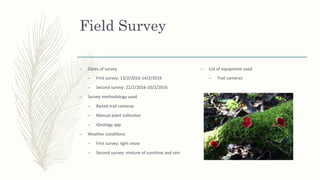 Ecological survey project | PDF