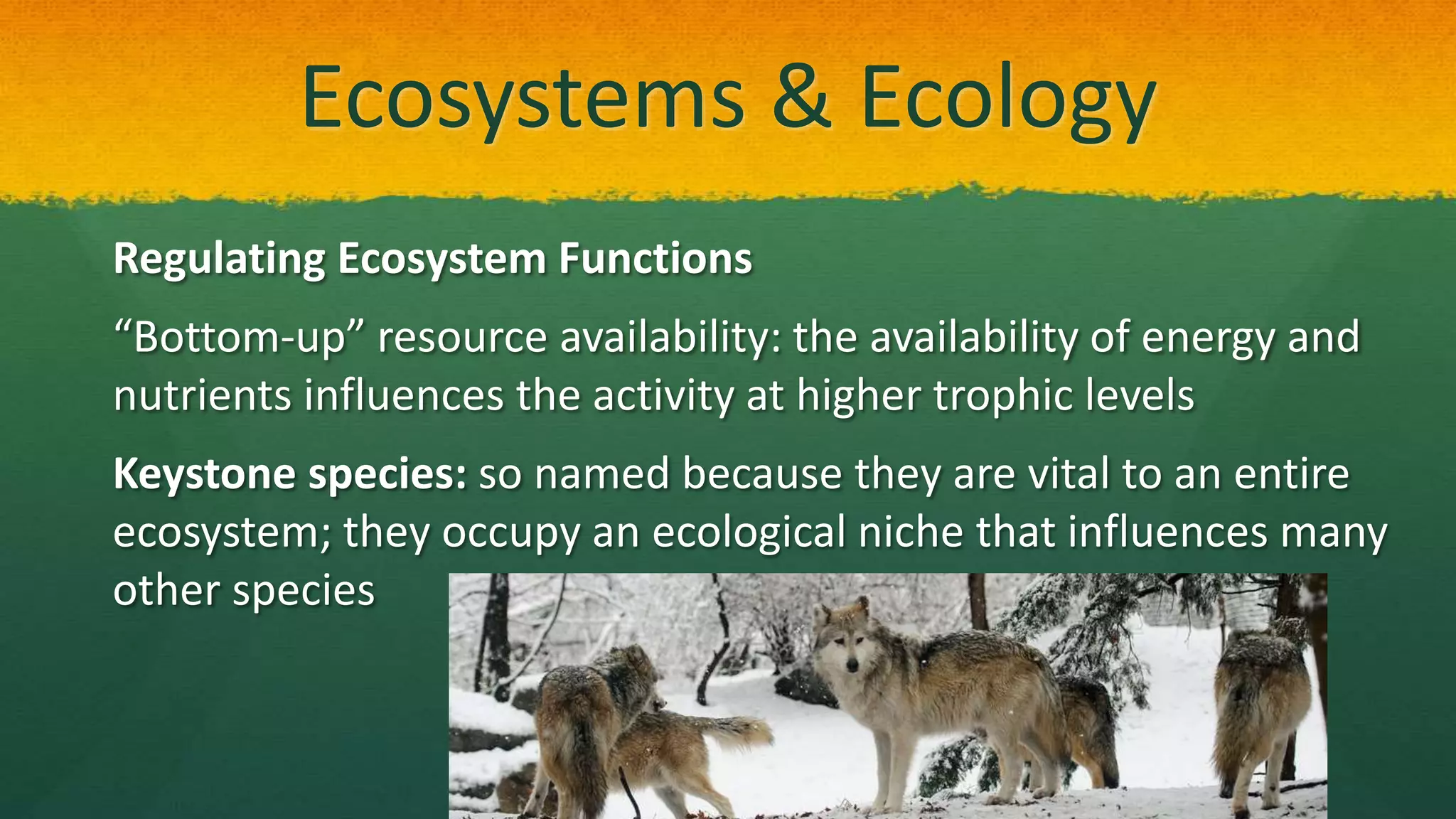 Ecological systems | PPTX
