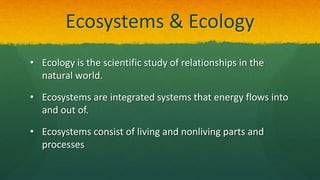 Ecological systems | PPTX